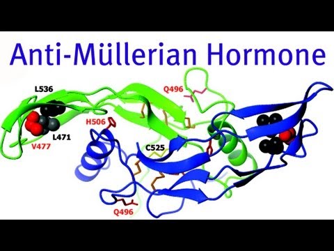 Austin IVF Cycles | Austin Fertility & Reproductive Medicine