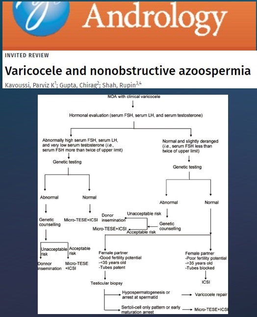 Dr. Parviz Kavoussi authors review on varicoceles in men with sperm ...